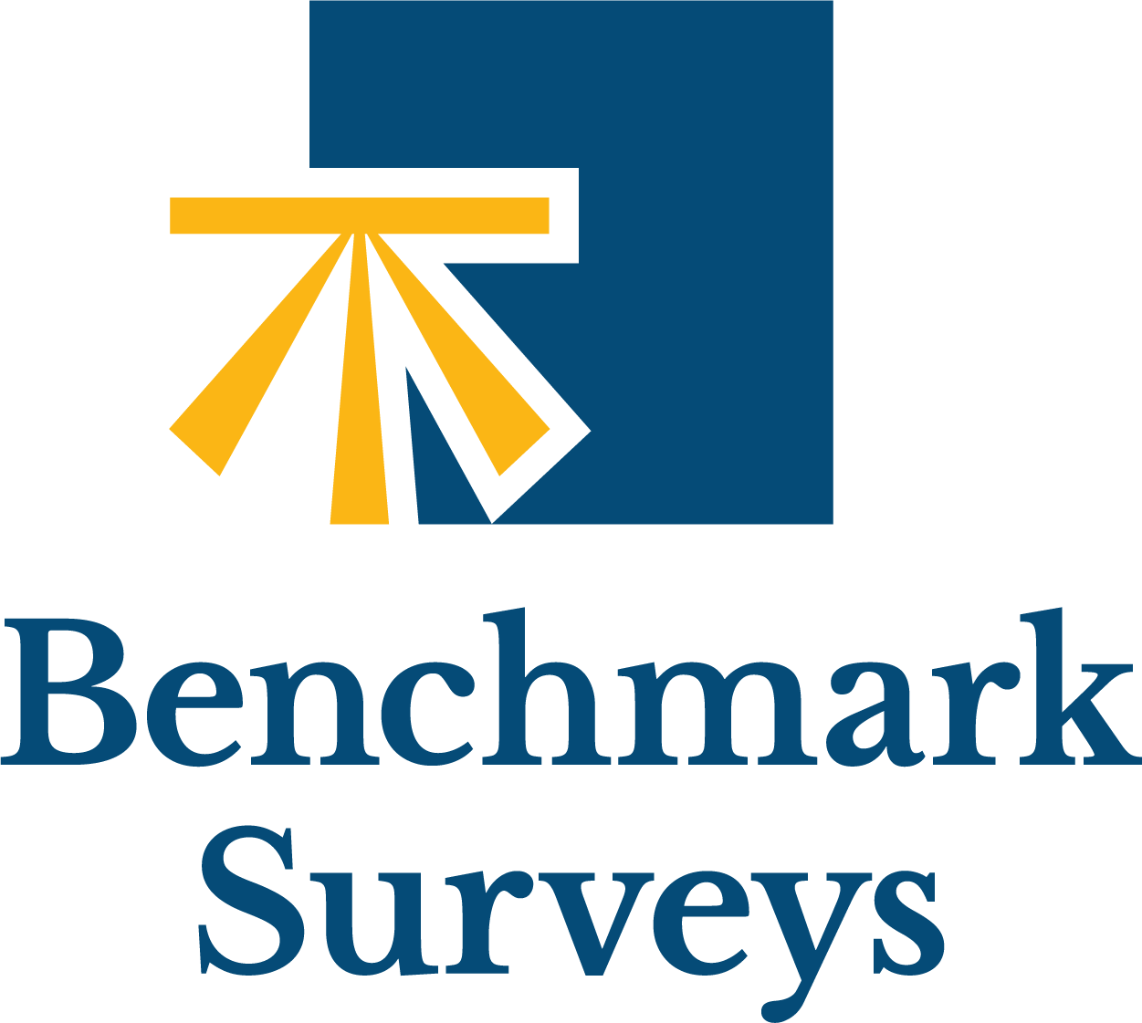 Benchmark Surveys